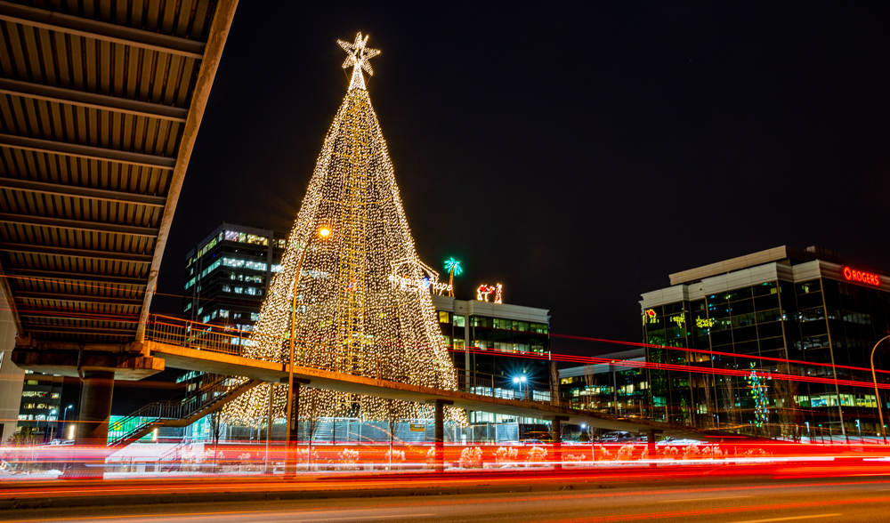 Tree of HOPE Light Up: 2023