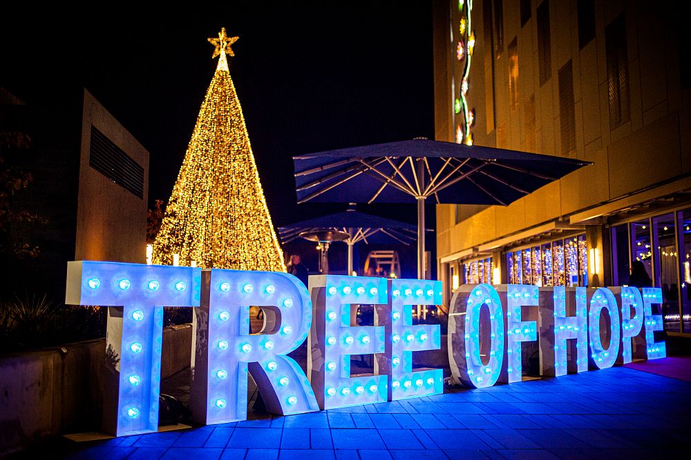 THE STOBER FOUNDATION - TREE OF HOPE