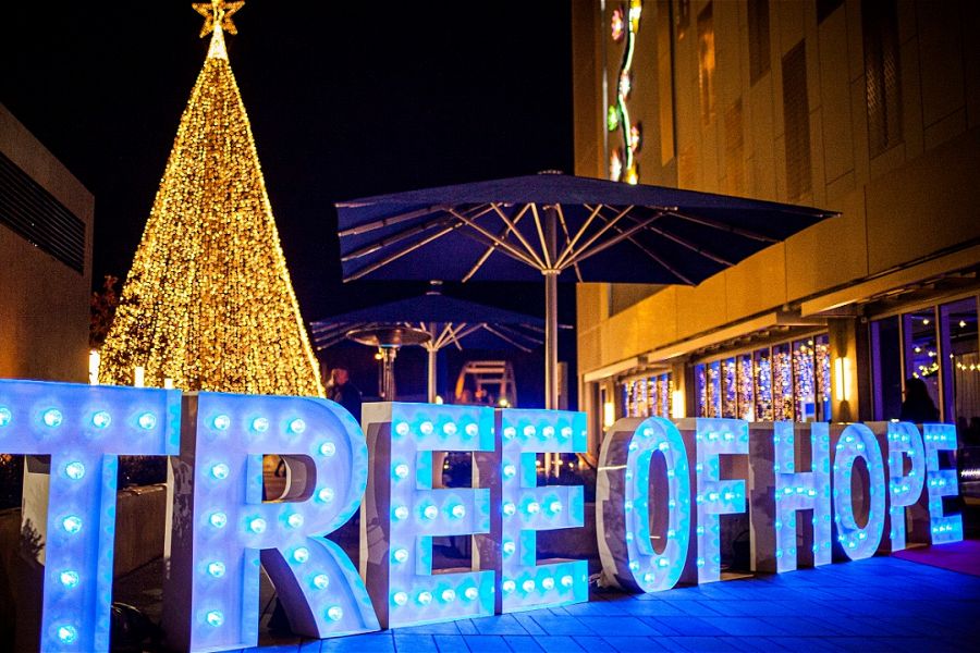 THE STOBER FOUNDATION - STORIES